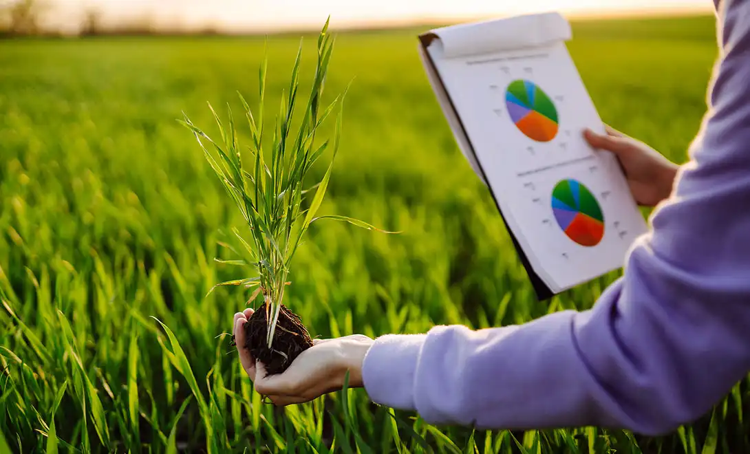 The Science Behind Biostimulants: From Soil Health to Crop Resilience ...